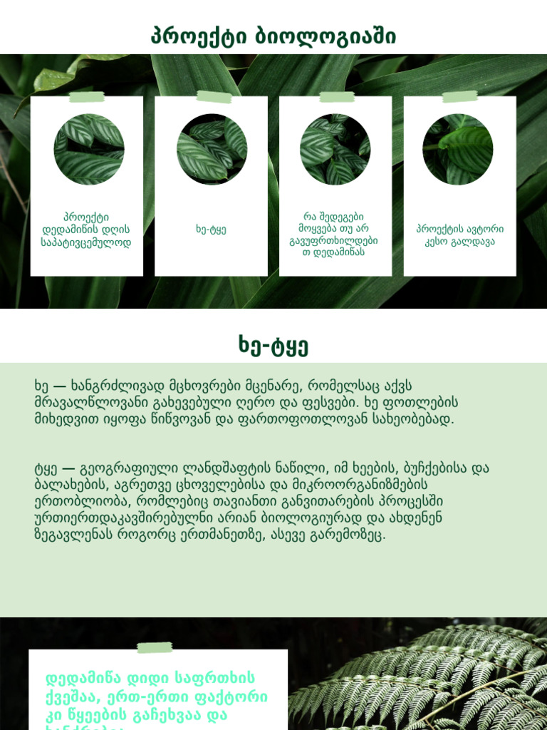 Biologia Dedamiwis Dge | PDF