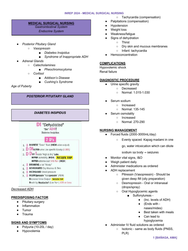 INREP - MS - Endocrine System | PDF