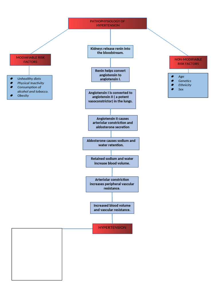 Pathophysio hpn222 | PDF