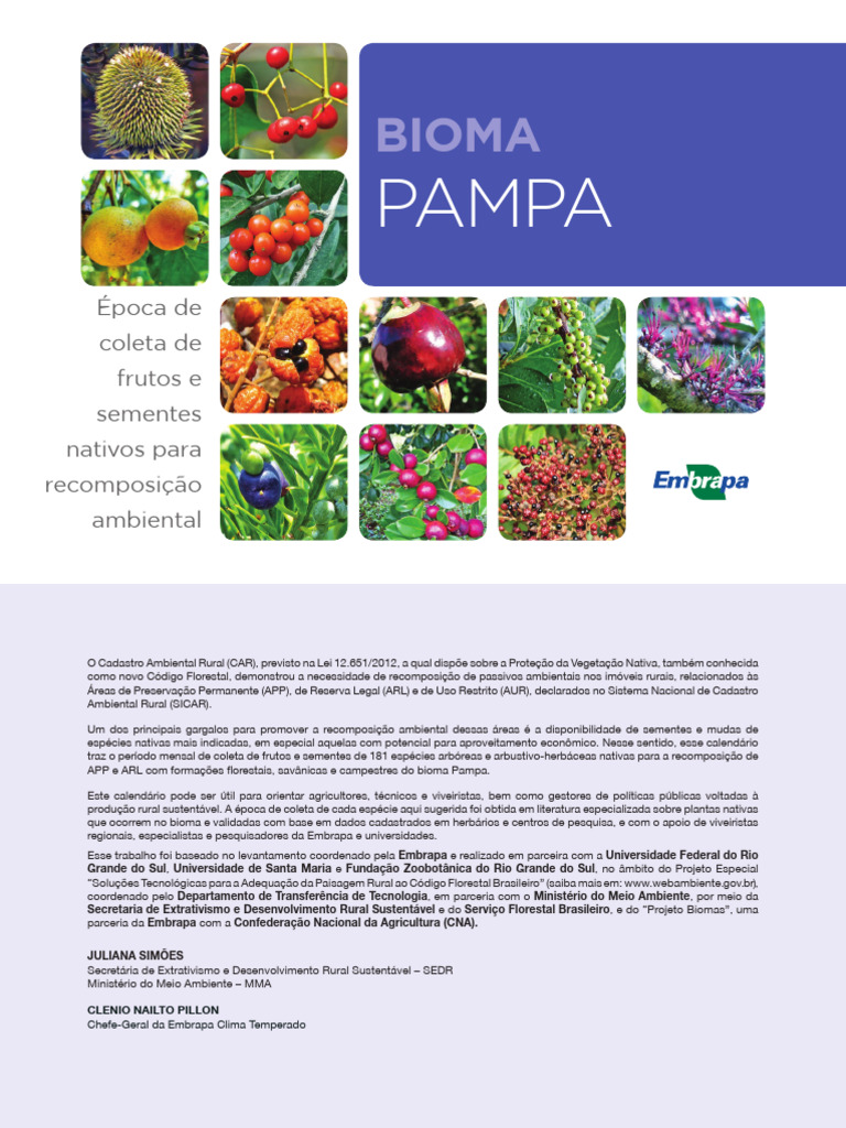 Bioma Pampa - Época de Coleta de Frutos e Sementes Nativos para ...