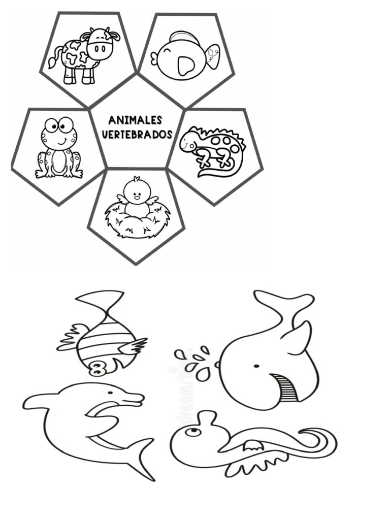 Ciencias Naturales. Triorama Animales Vertebrados - Exapres | PDF