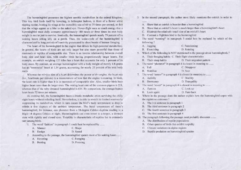 Reading Text 2 Scan | PDF