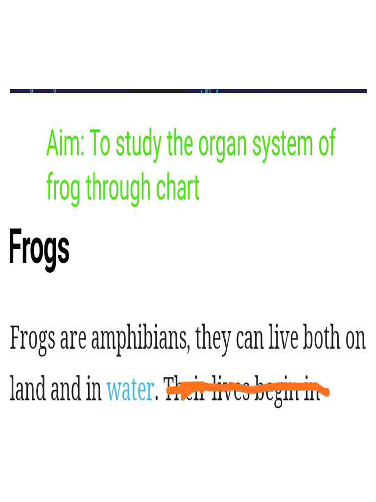 Frog Practical | PDF