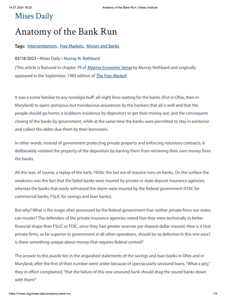 Anatomy of The Bank Run | PDF