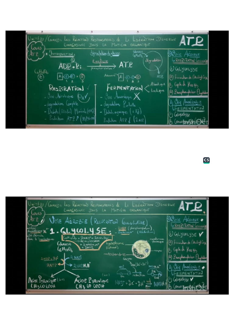 1 Atp | PDF