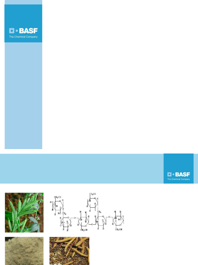 BASF PPT Dehyquart Guar | PDF