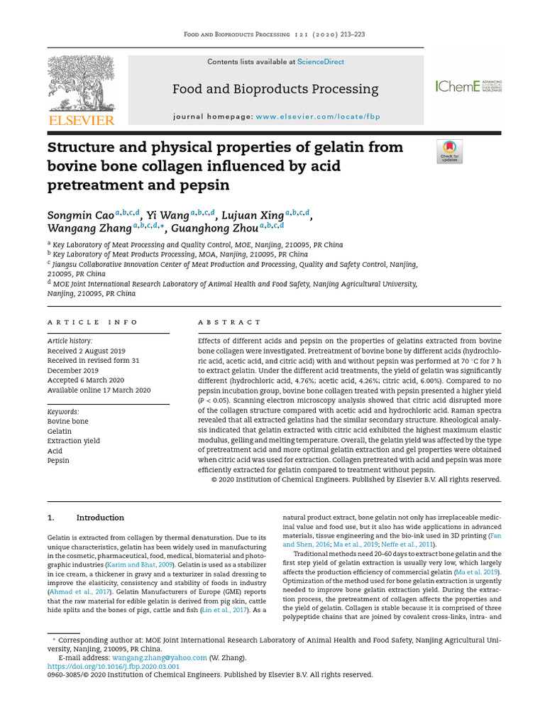 Collagen Xương Bò Tiền Xử Lý Pepsin Và Acid Pretreatment | PDF