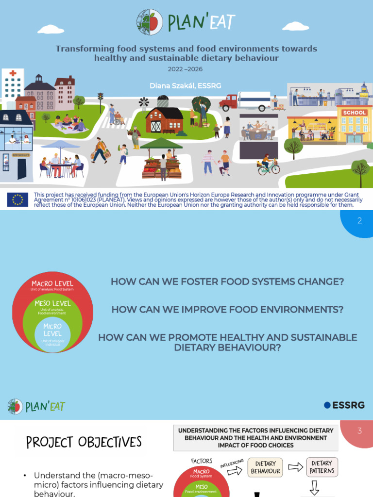Plan Eat - Micro, Meso and Macro | PDF