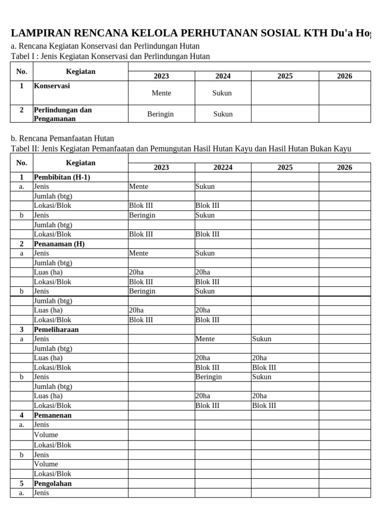 Template RKPS RKT Dua Hogar | PDF