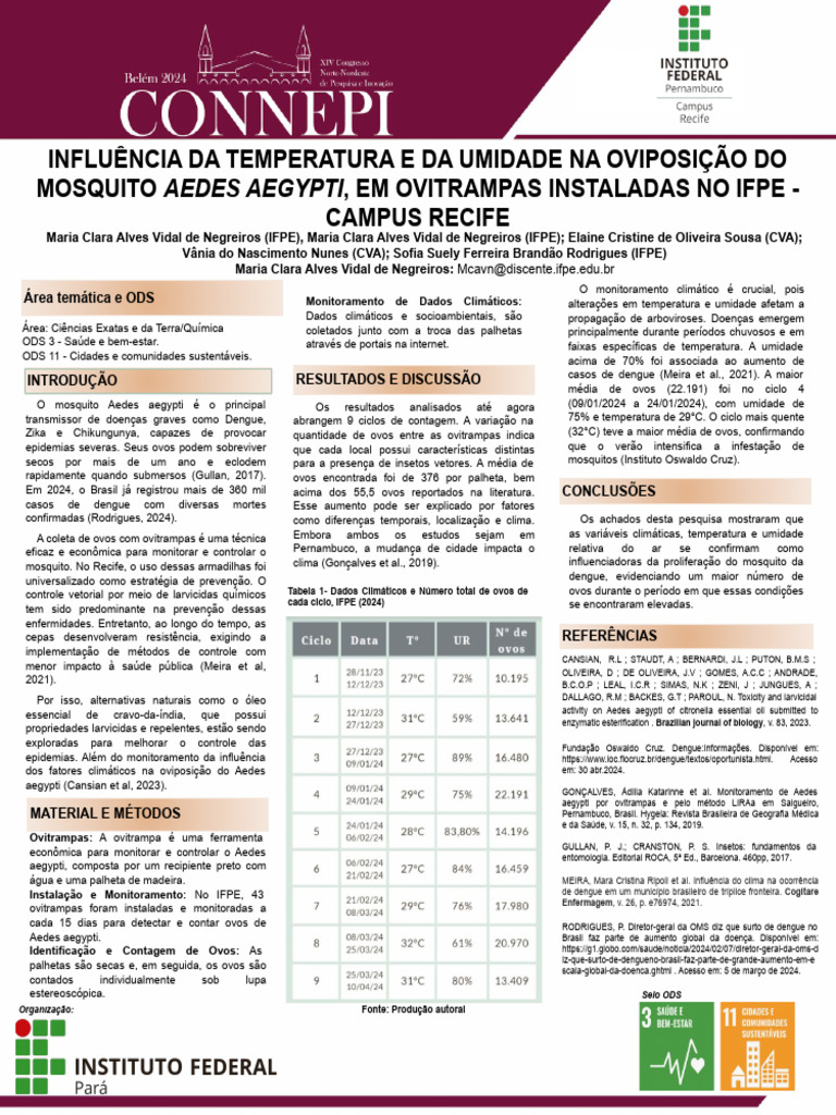 Modelo de Pôster - Connepi | PDF