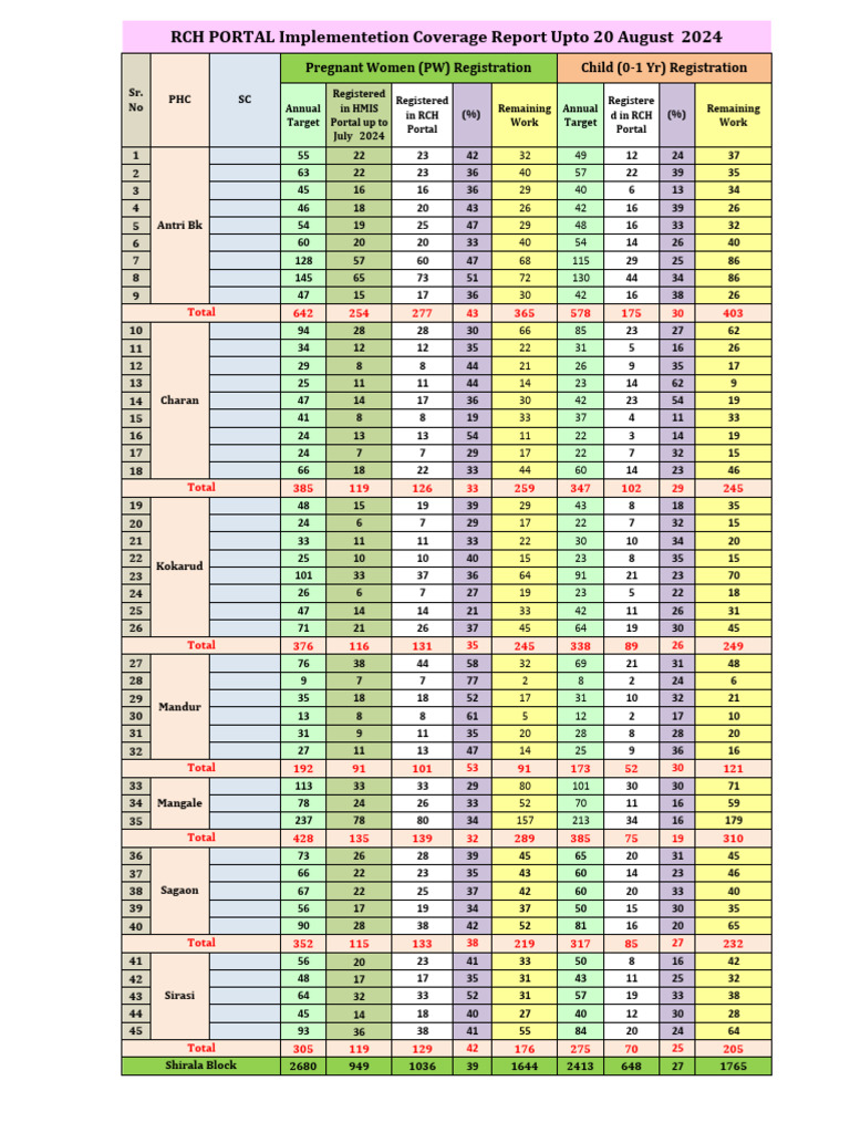 20 August 2024 RCH Portal Report | PDF