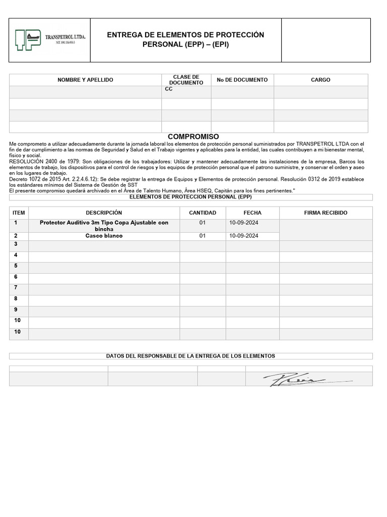 FORMATO DE ENTREGA DE EPp | PDF