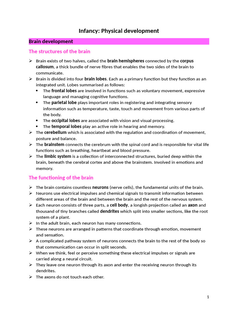 Chapter 6 - Physical Development | PDF