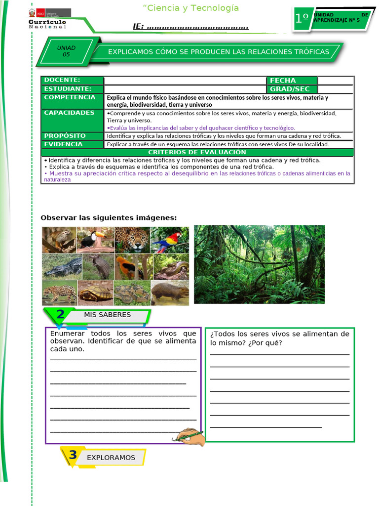 C-1º Act 4 Cyt Und 5 - Sem 3 | PDF