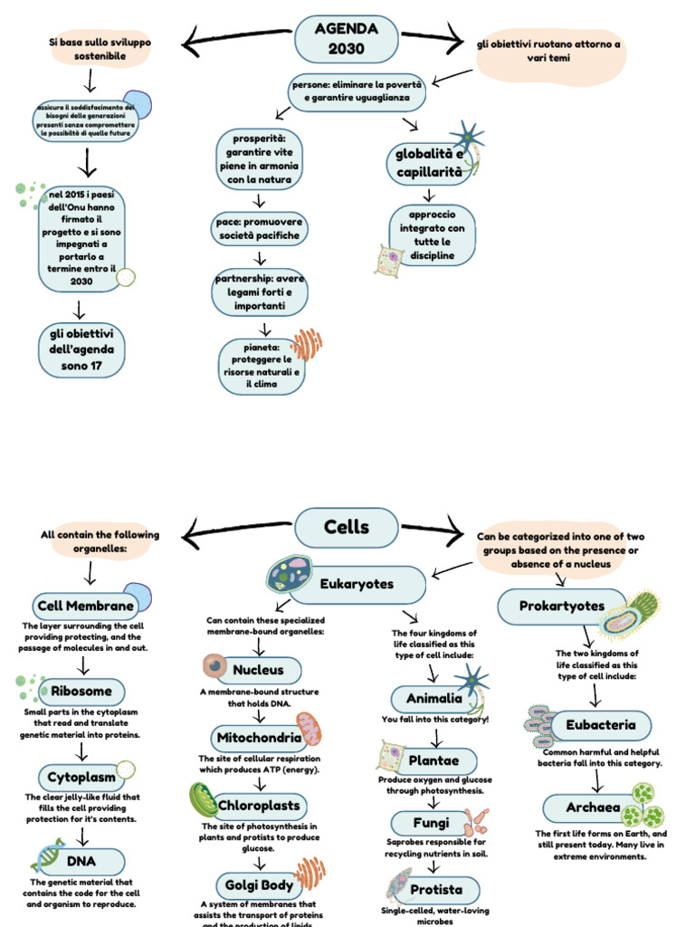 Cells Worksheet in Colorful Illustrative Style | PDF