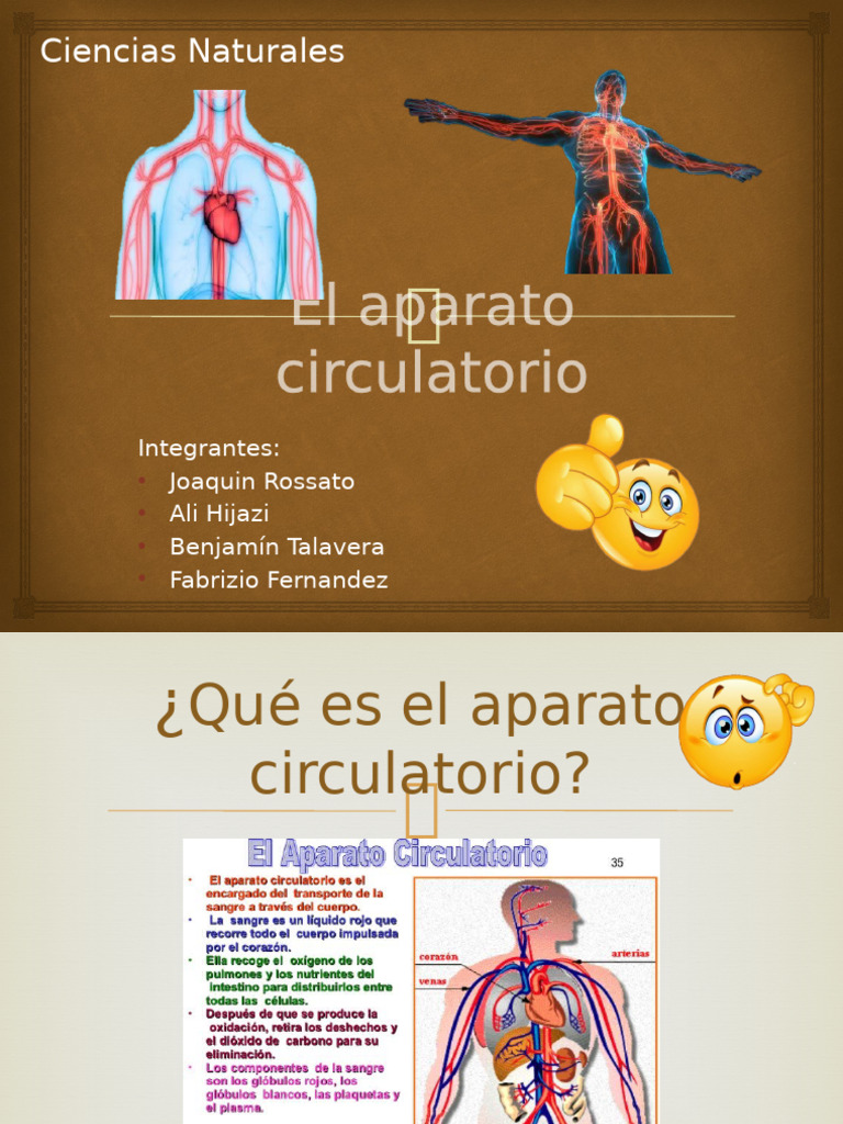 El Aparato Circulatorio Ciencias | PDF