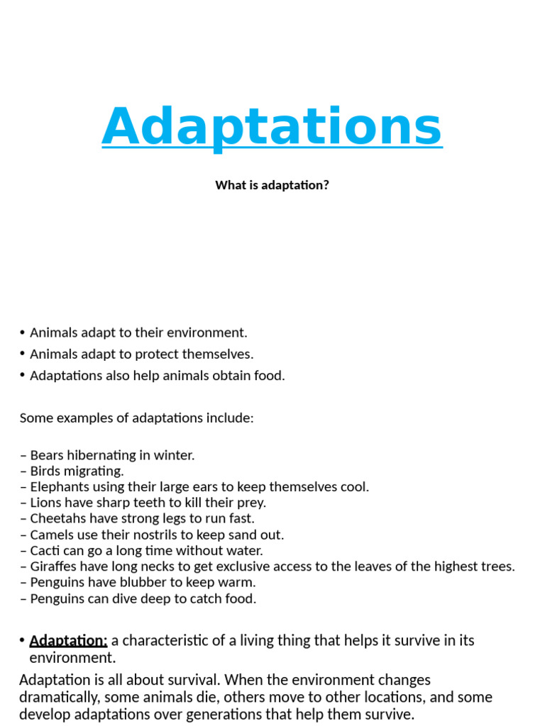 Animals Adaptations Pdf