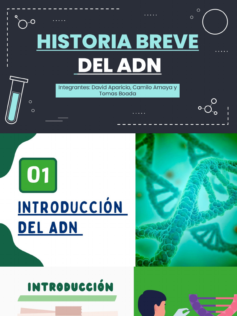 Historia Breve Del Adn.2024pptx | PDF