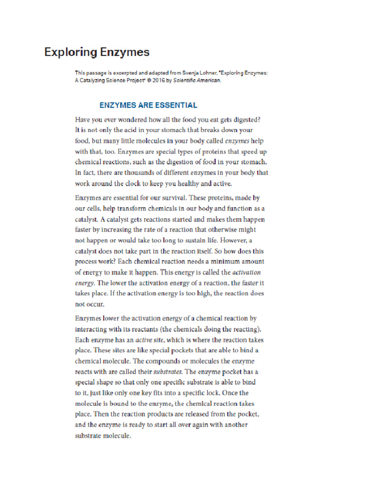 Enzymes Lab Prep | PDF