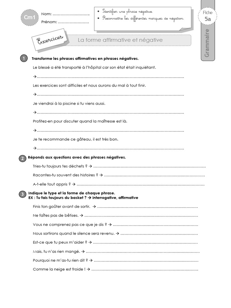cm1 Exercices Forme Negative | PDF