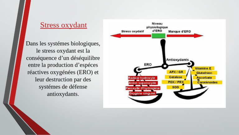 PP de PFE Final 8 | PDF