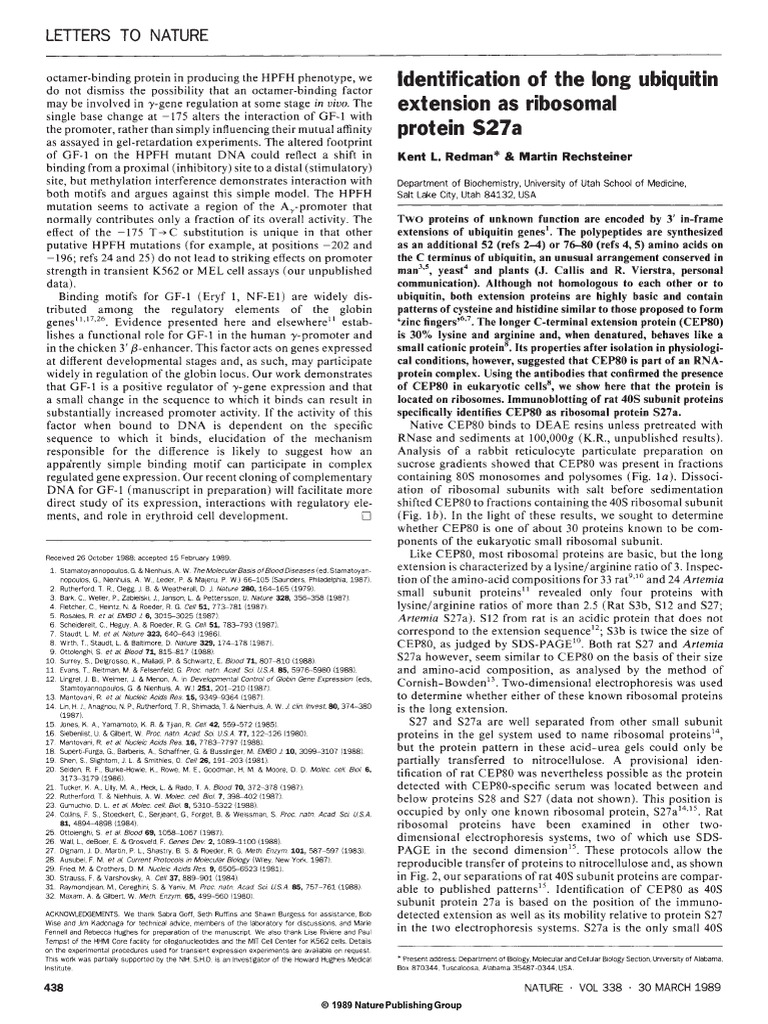 1989 Identification of The Long Ubiquitin Extension As Ribosomal ...