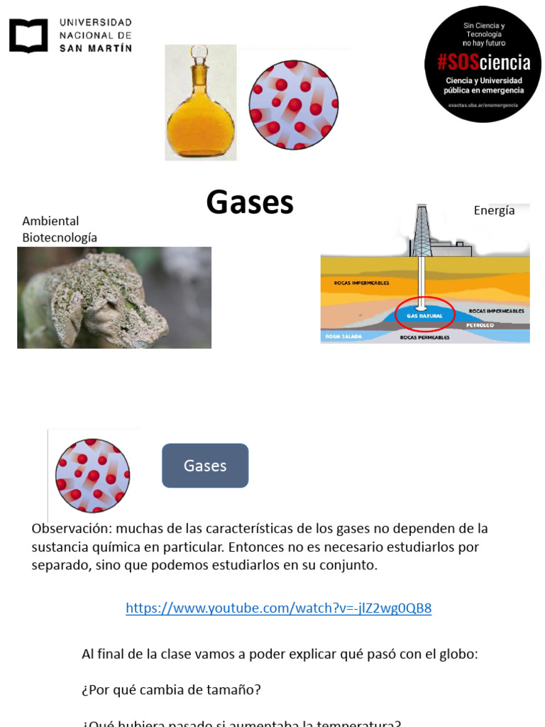 Gases Vms | PDF