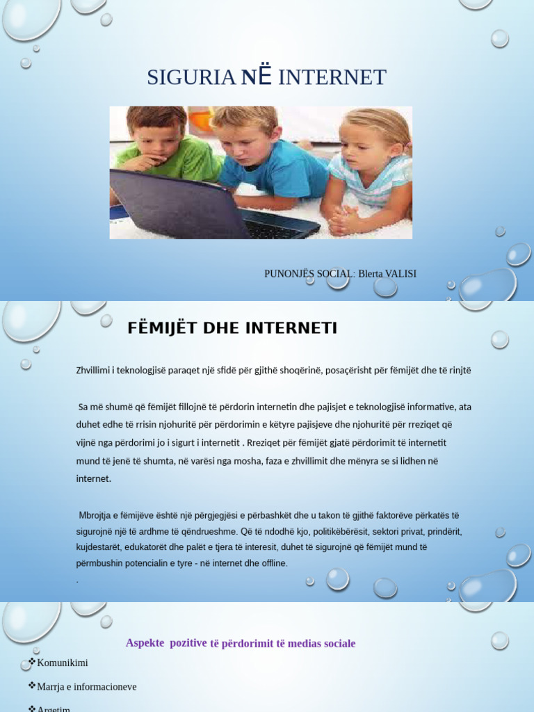 Siguria Ne Internet Blerta Valisi | PDF