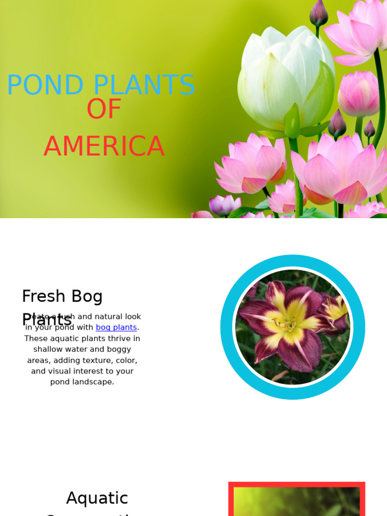 Fresh Bog Plants | PDF