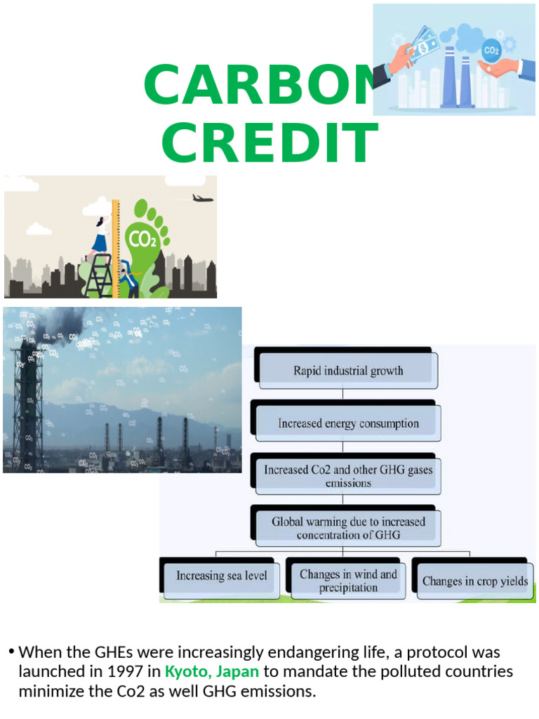 Carbon Credit | PDF