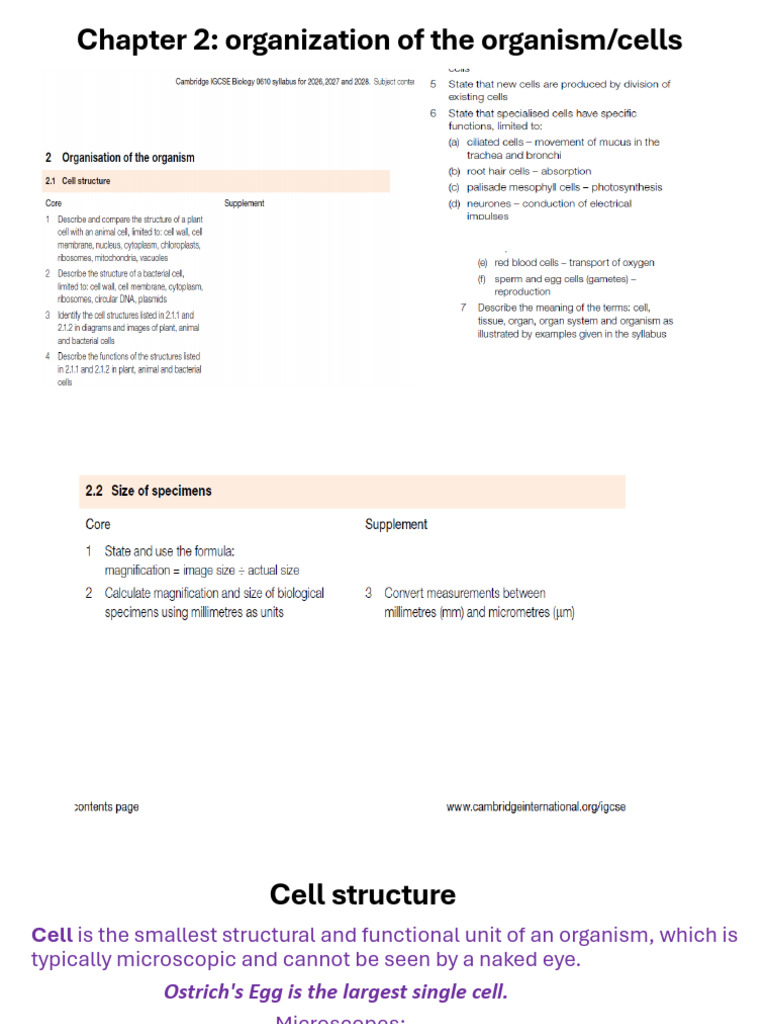 9th Grade 2nd Chapter - Cells-Organisation of The Organism | PDF