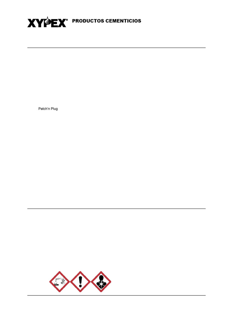 Xypex Patch N Plug | PDF