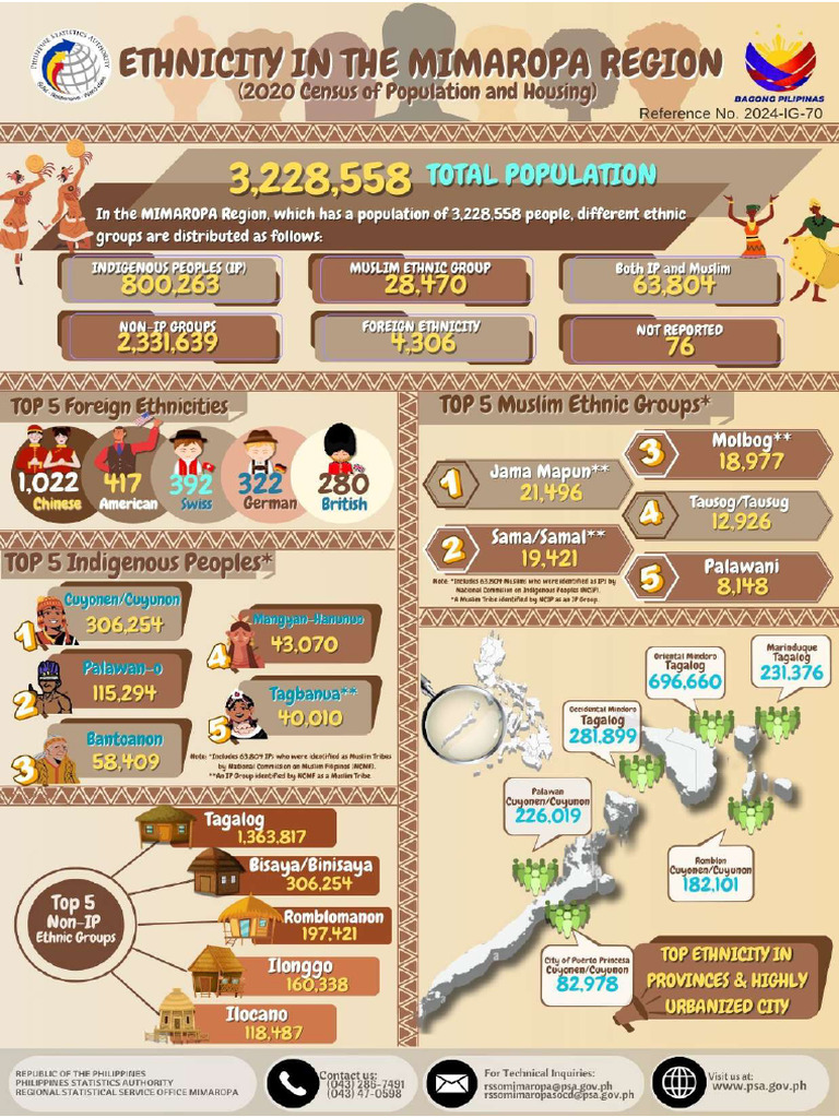 Infographics Ethnicity | PDF