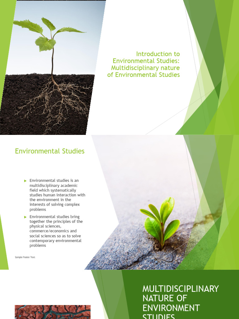 M1 Environmental Studies | PDF