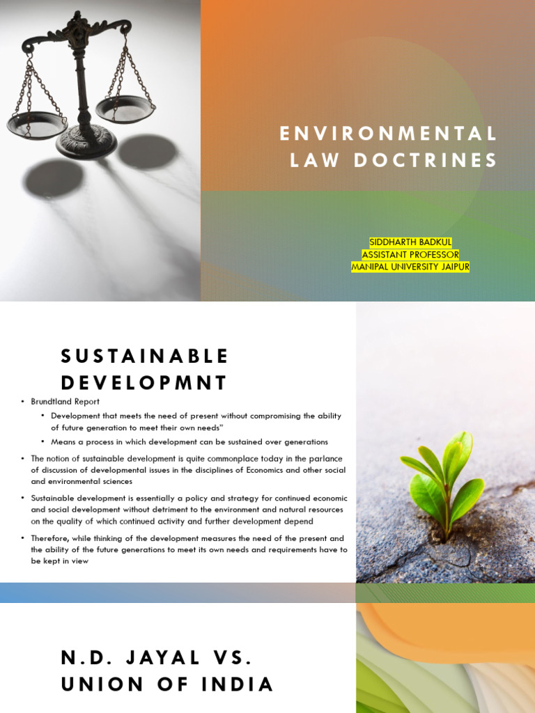 M2 Environmental Law Doctrines | PDF