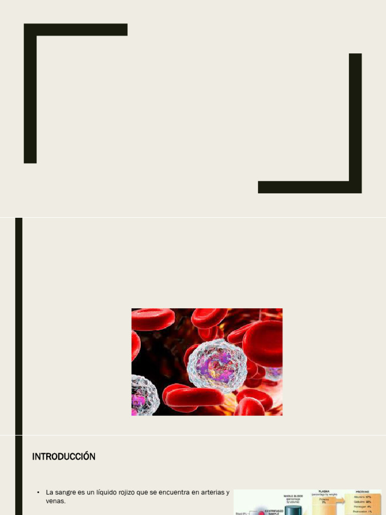 Bloque V Cuidados Enfermeros Ante Problemas Del Sistema Hematopoyético | PDF | Leucocito ...