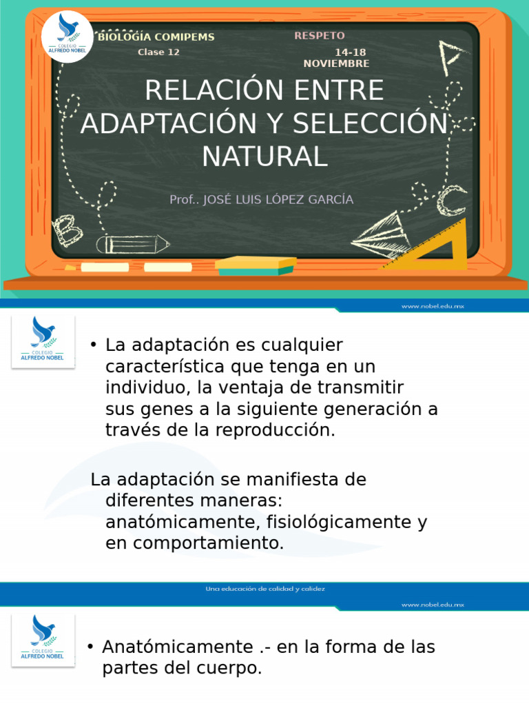 Biología, Semana 13, 21 Al 25 Noviembre - Seleccion Natural | PDF