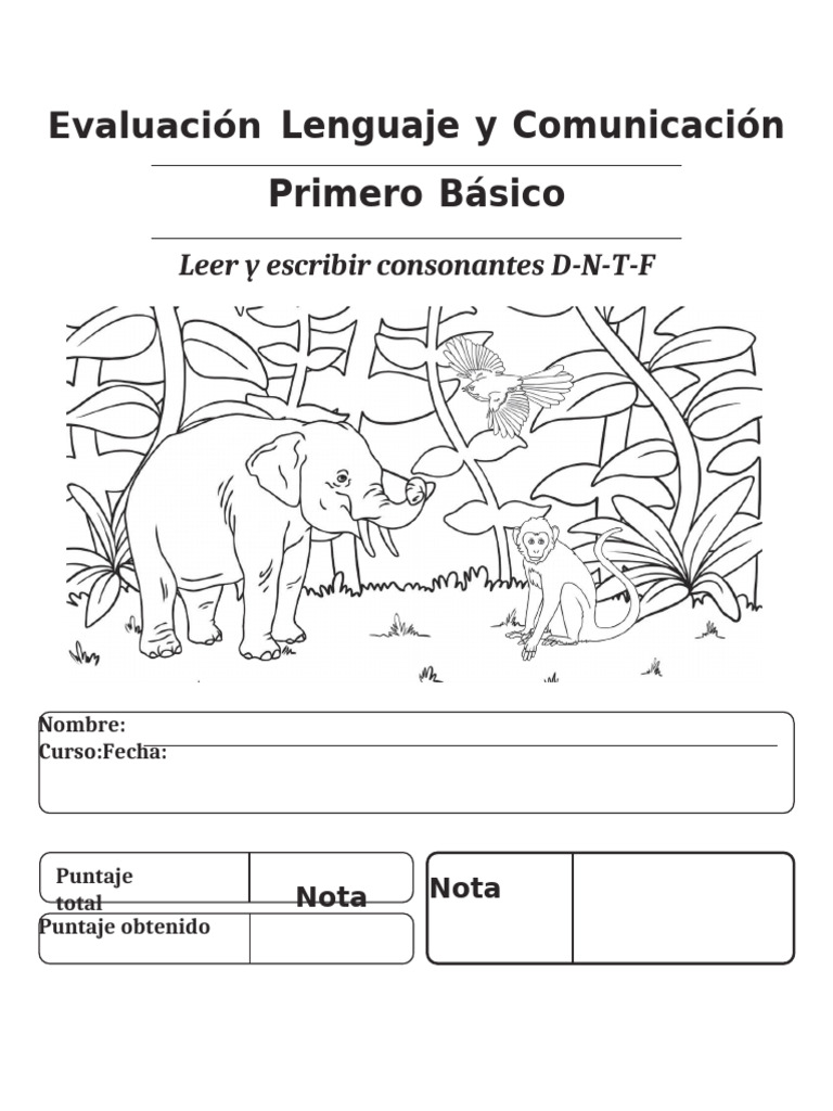 Ev. Comp Lectora D-N-T-F | PDF