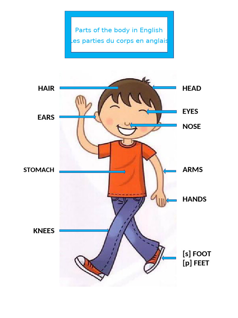 Part of The Body | PDF
