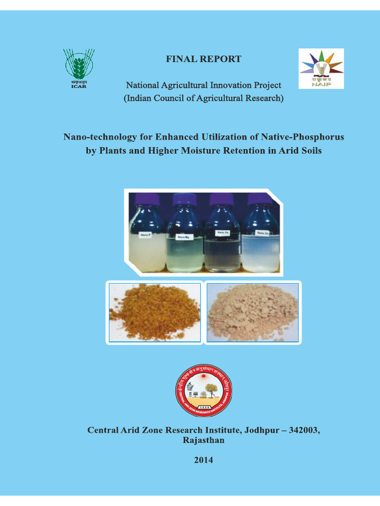 Nanotechnolgy NAIP | PDF