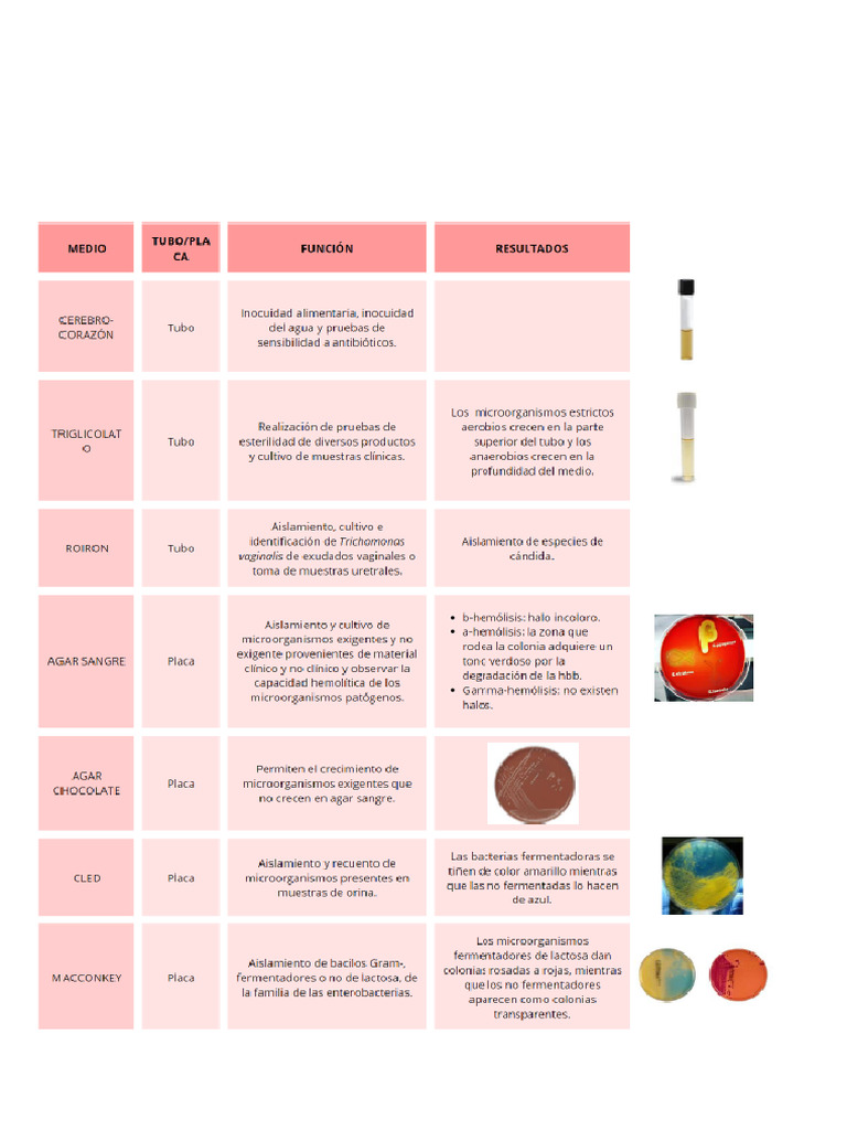 Cultivos Micro Tema 4 | PDF