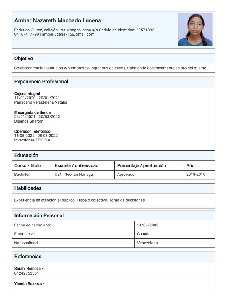 Currículum Ambar | PDF