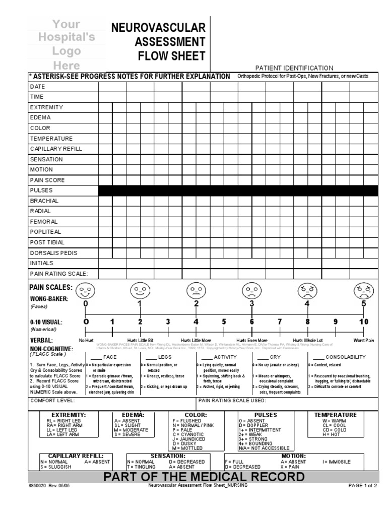 NeuroVas Assessment.2 | PDF | Anatomical Terms Of Motion | Thumb