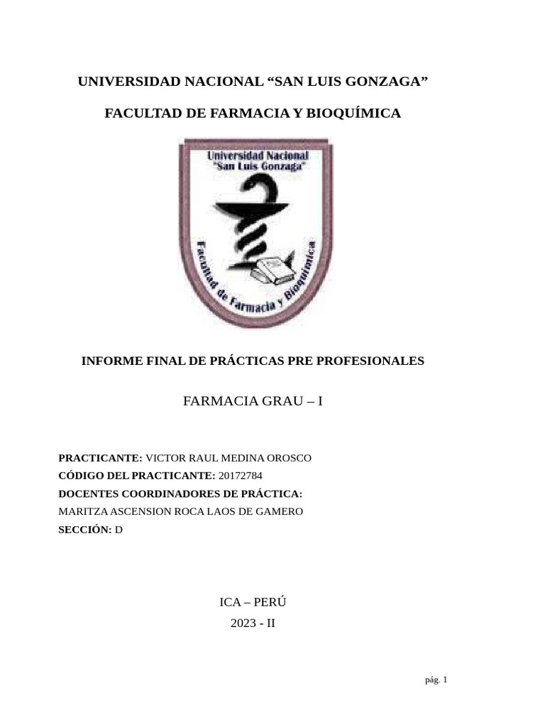 Informe - Final Raul | PDF