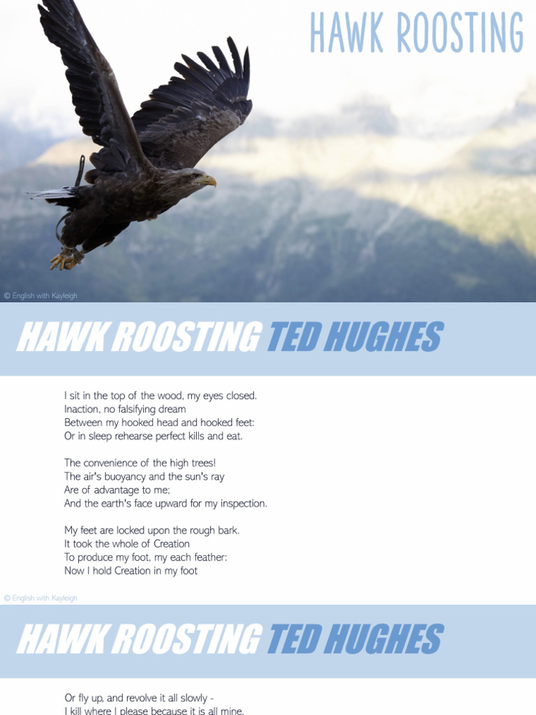 Hawk Roosting | PDF