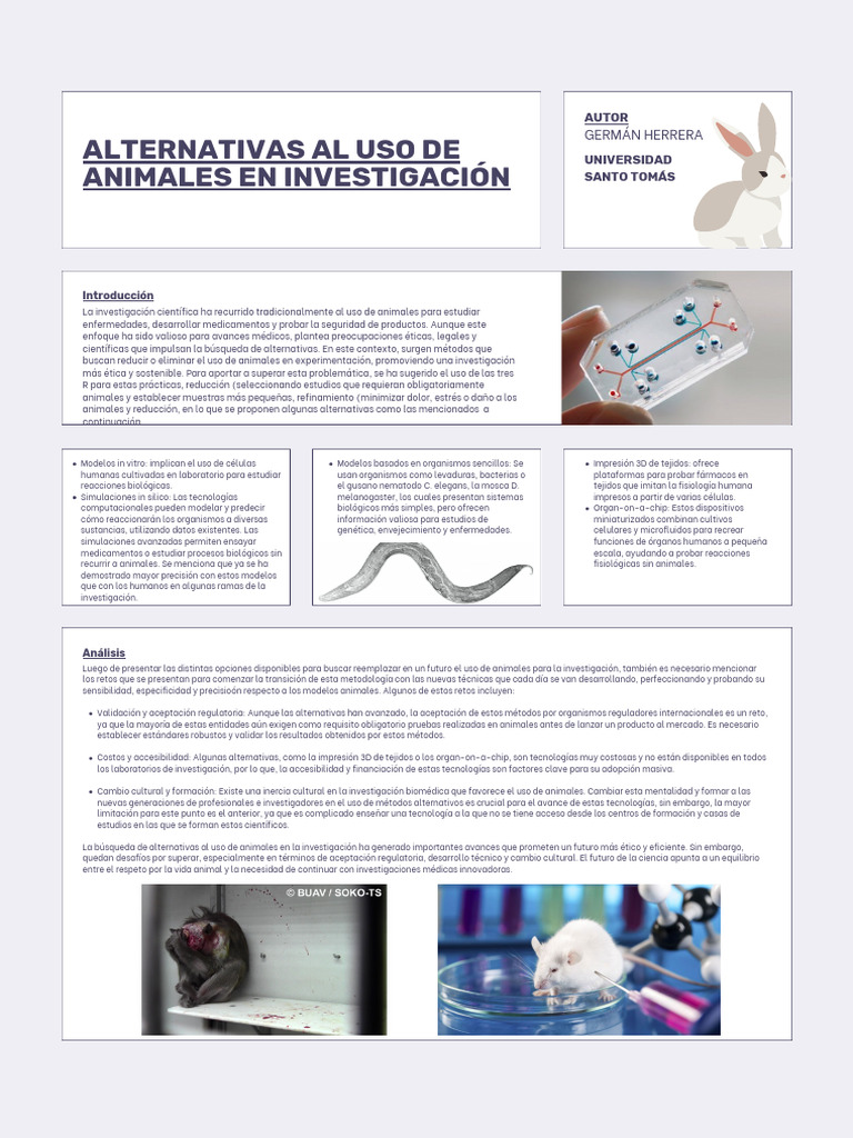 Alternativas Al Uso de Animales en Investigación | PDF | Biología | Biología Celular)