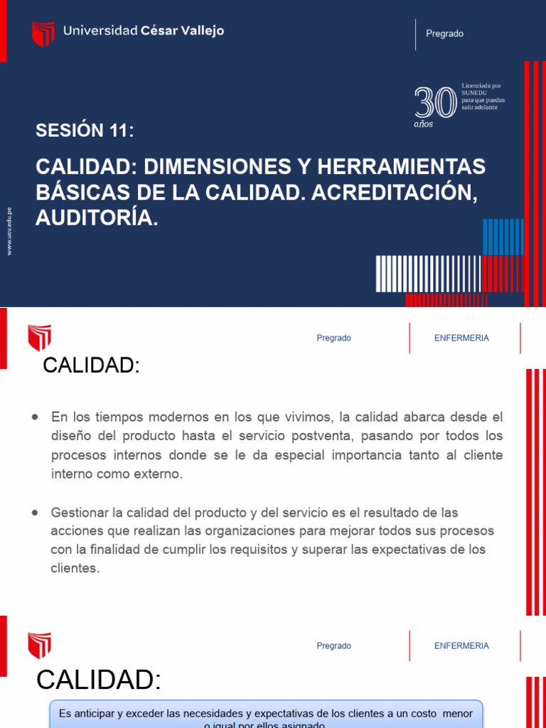 Calidad. Básicas | PDF | Calidad (comercial) | Inteligencia artificial