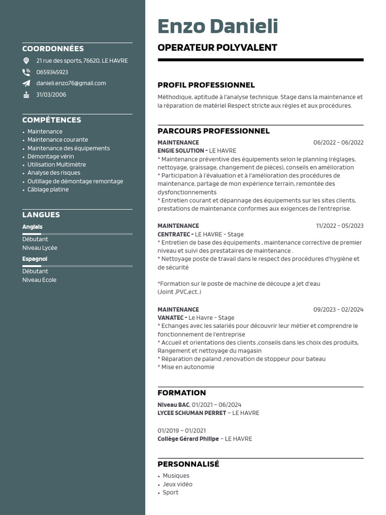 Enzo Danieli CV 3 | PDF