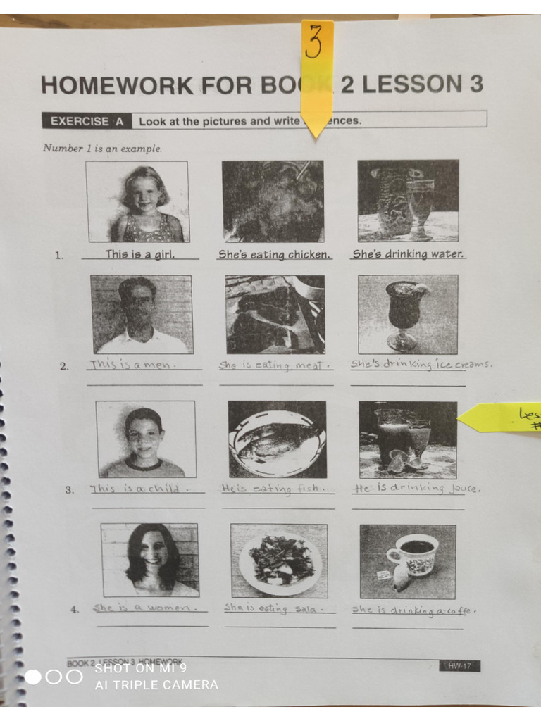 Lesson 3, Book 2 Homework, Evaluation, Lab | PDF