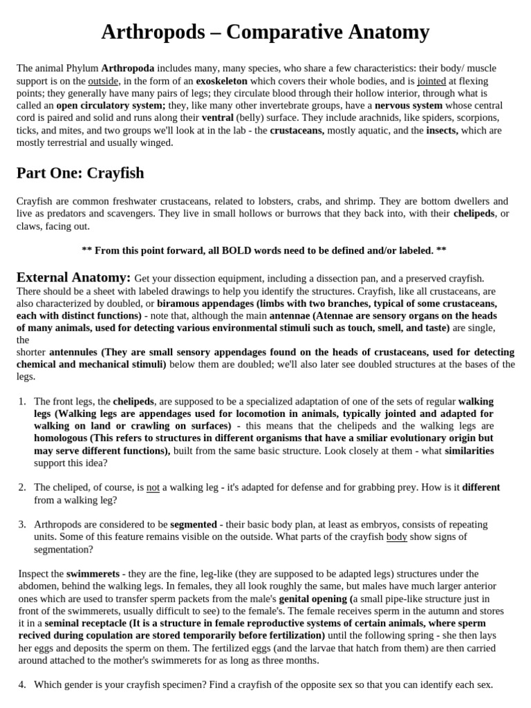Arthropods Comparison Lab - External | PDF